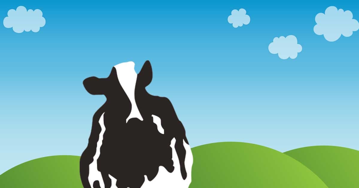 Count the Cows | Ben & Jerry’s